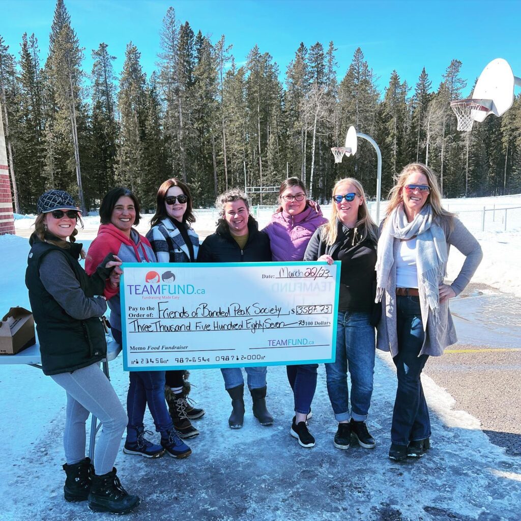 Fundraising Tips and Tools | TeamFund Fundraising